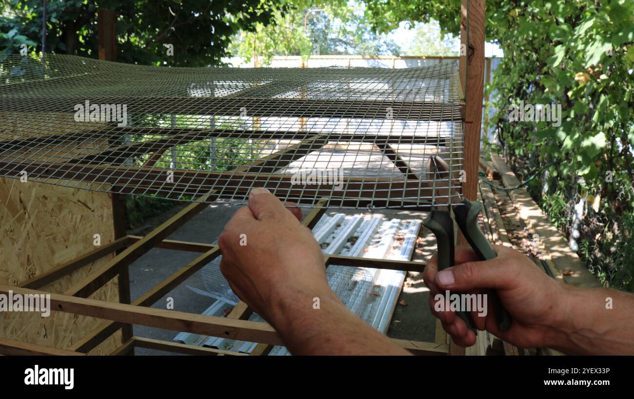 hands with pliers during work on assembling a cage for domestic quails ...