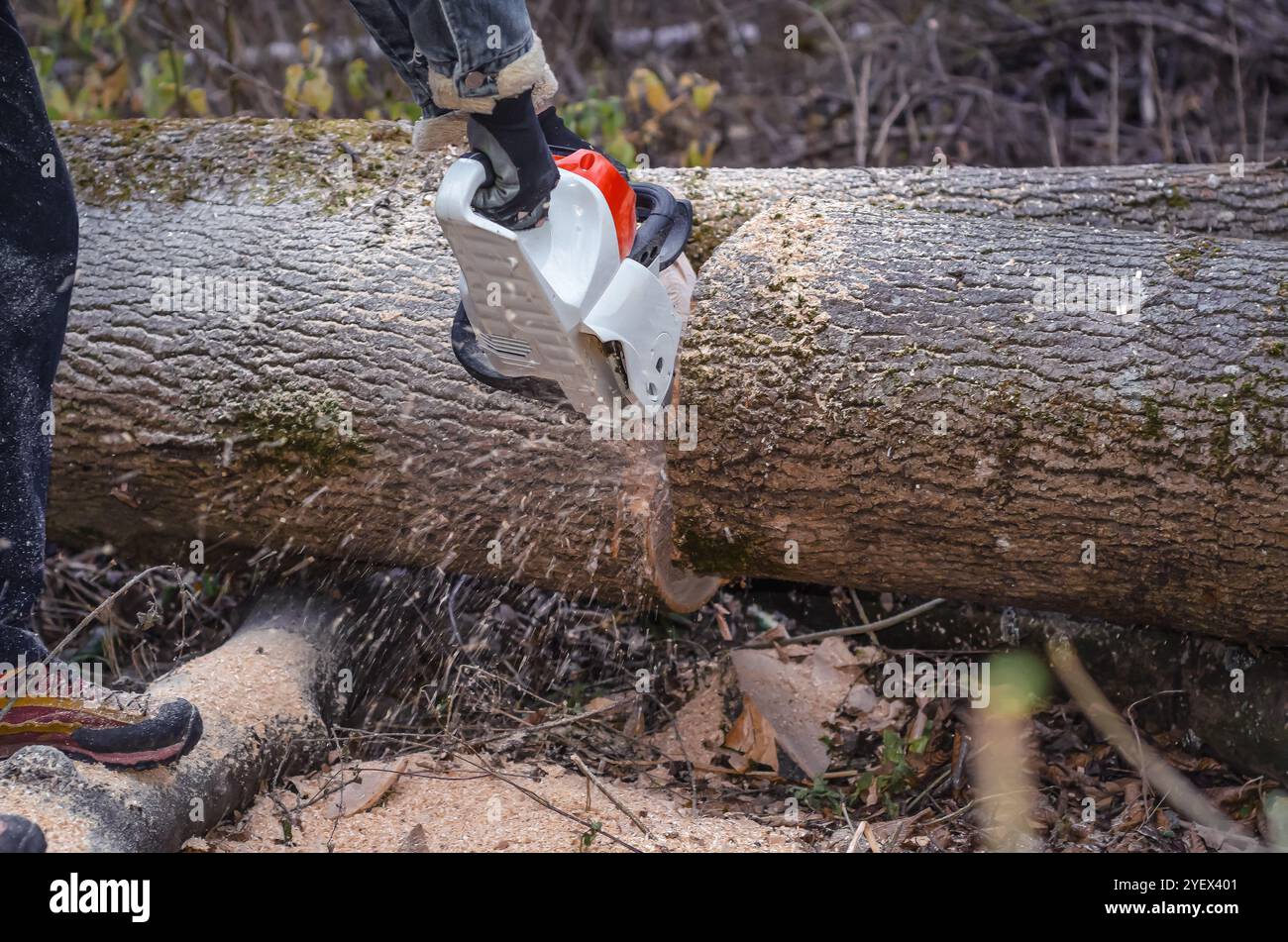 Process cutting wood hi-res stock photography and images - Alamy
