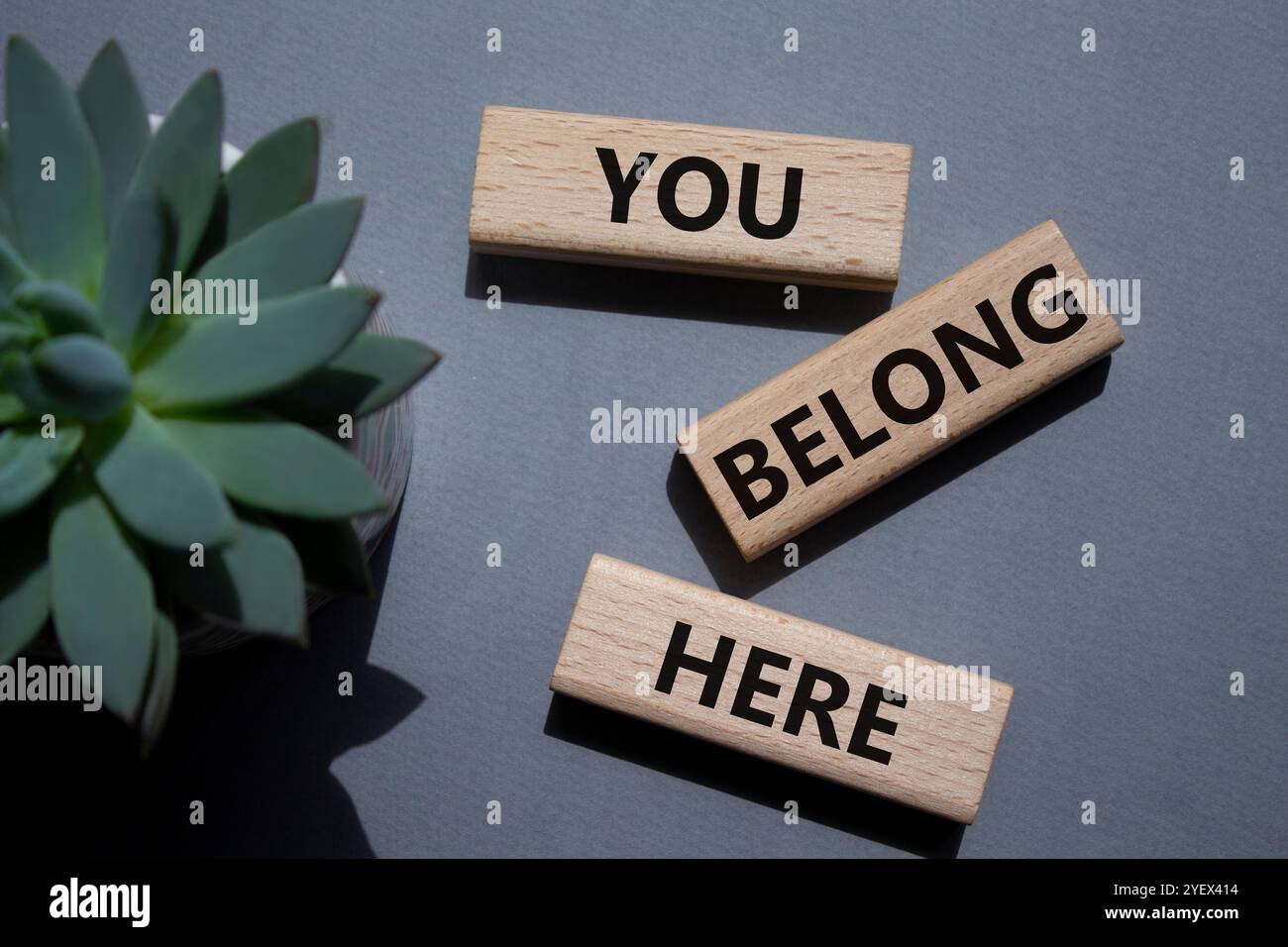 You belong here symbol. Wooden blocks with words You belong here ...