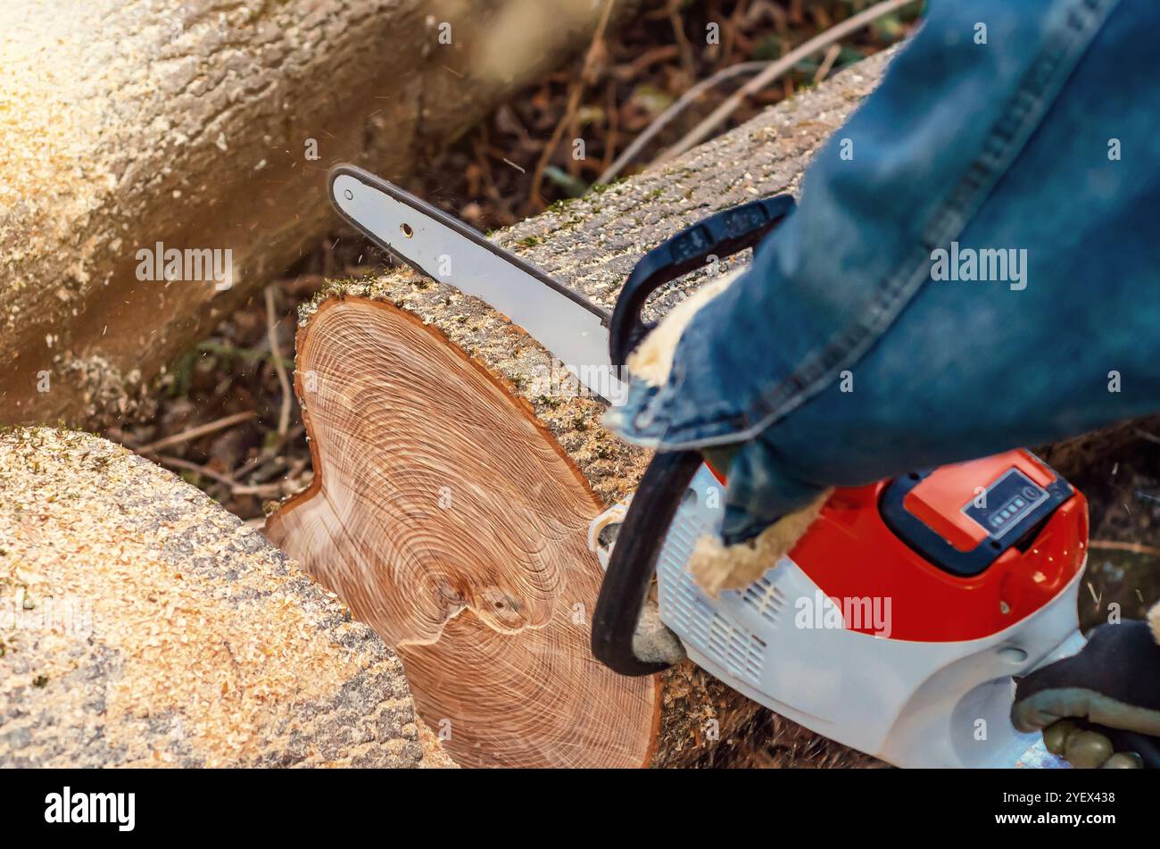 Process cutting wood hi-res stock photography and images - Alamy