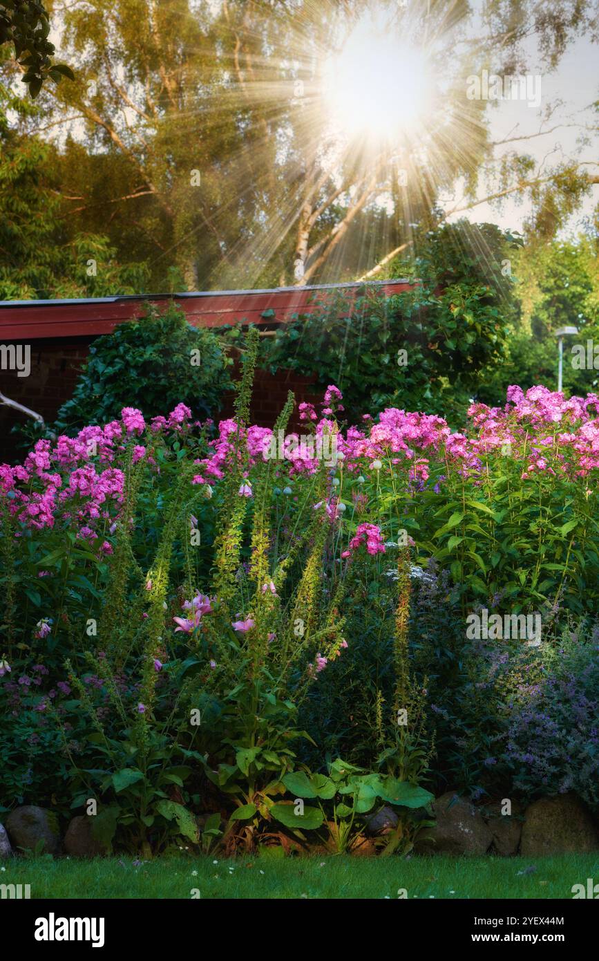Nature, growth and zen with flowers in garden for environment ...