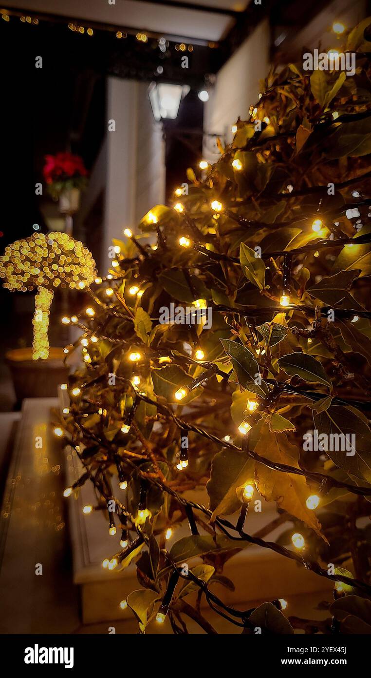 The photo shows bright lights twining around a bush of plants in an ...