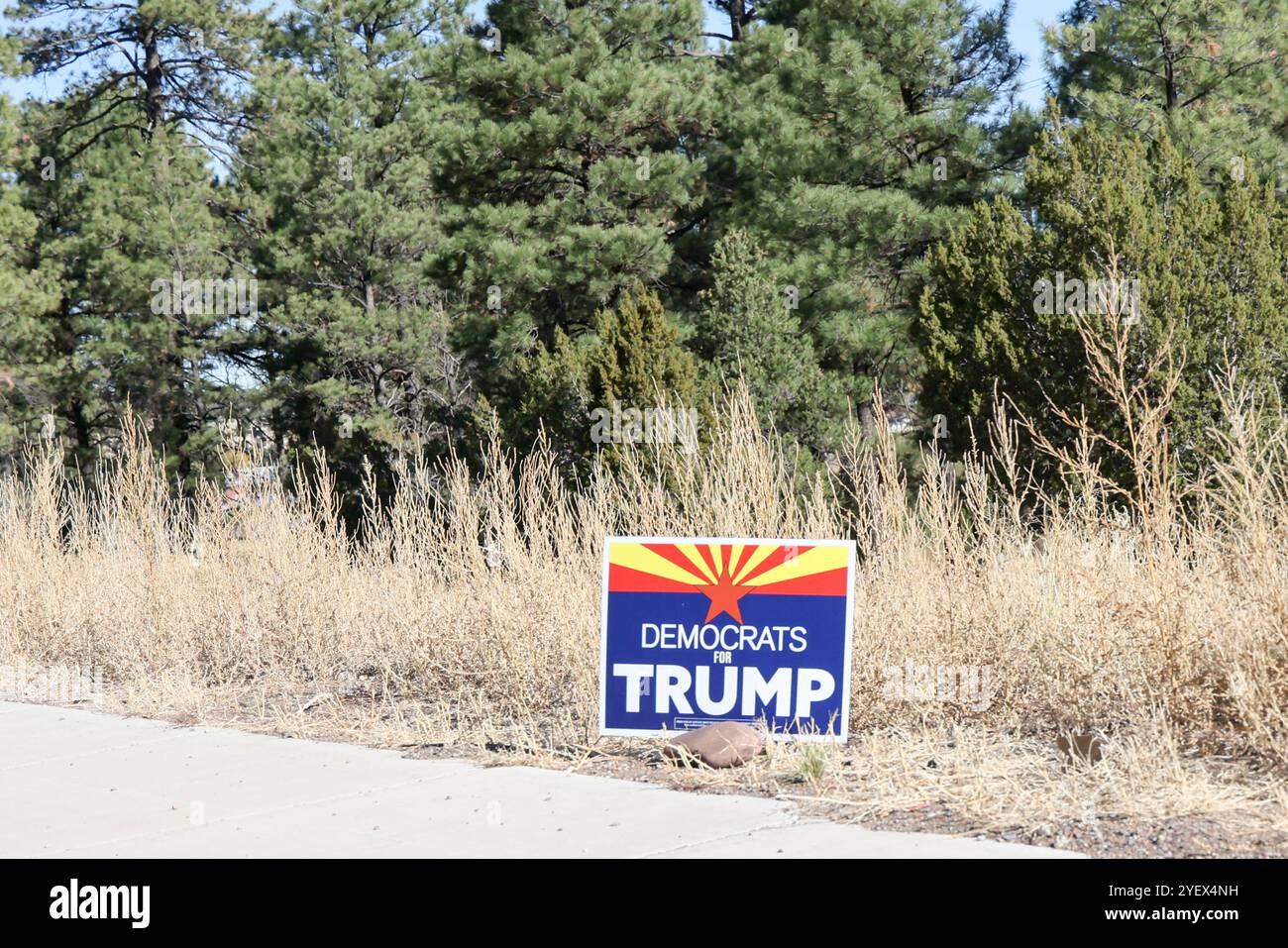 A political sign for the November 5th General Election can be seen ...
