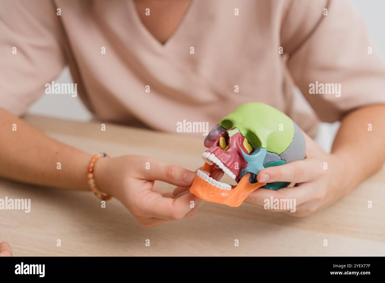 Physiotherapist showing anatomical skull model to patient Stock Photo ...
