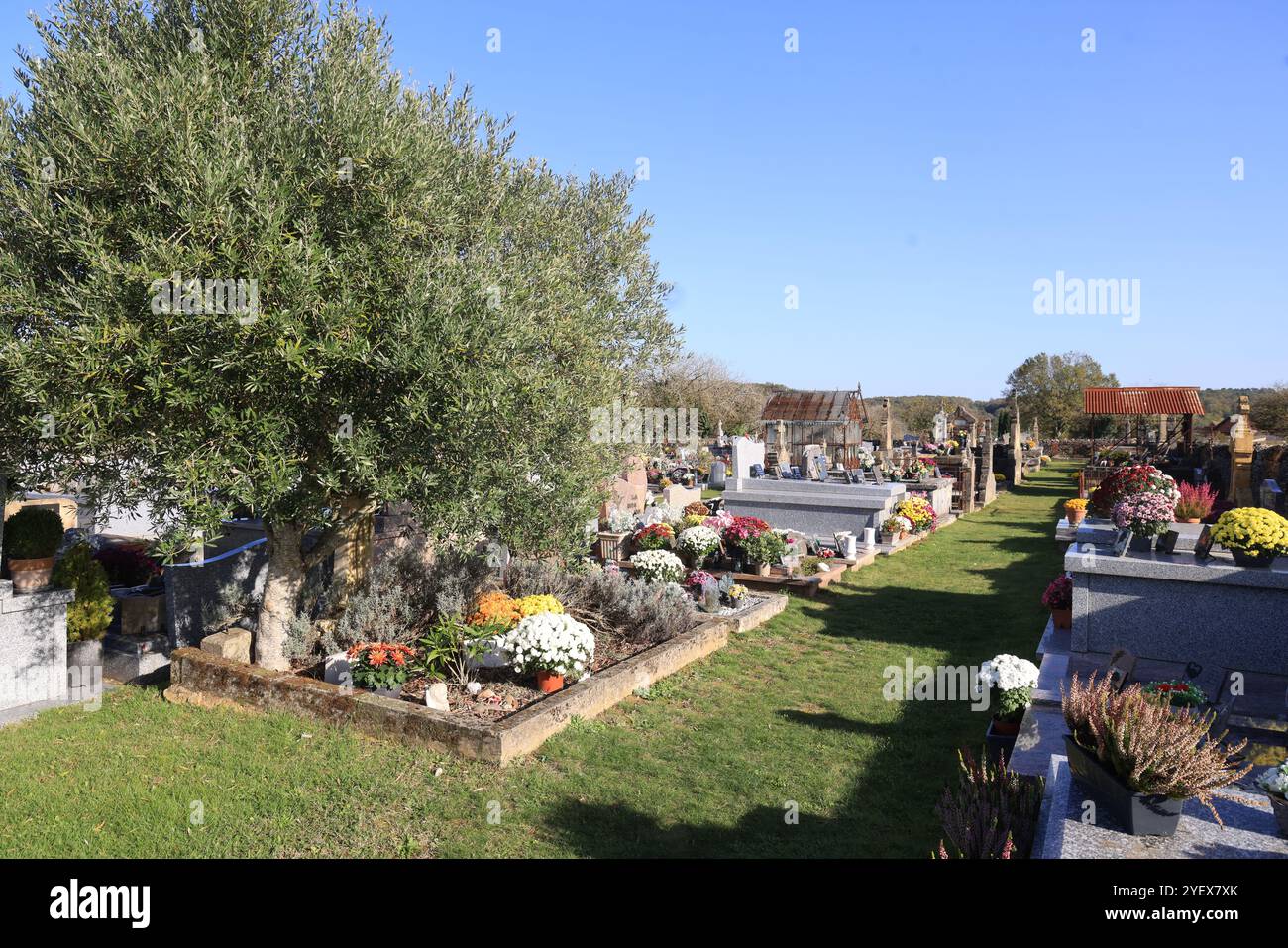 Countryside cemetery on All Saints' Day. Worship and memory of the dead ...
