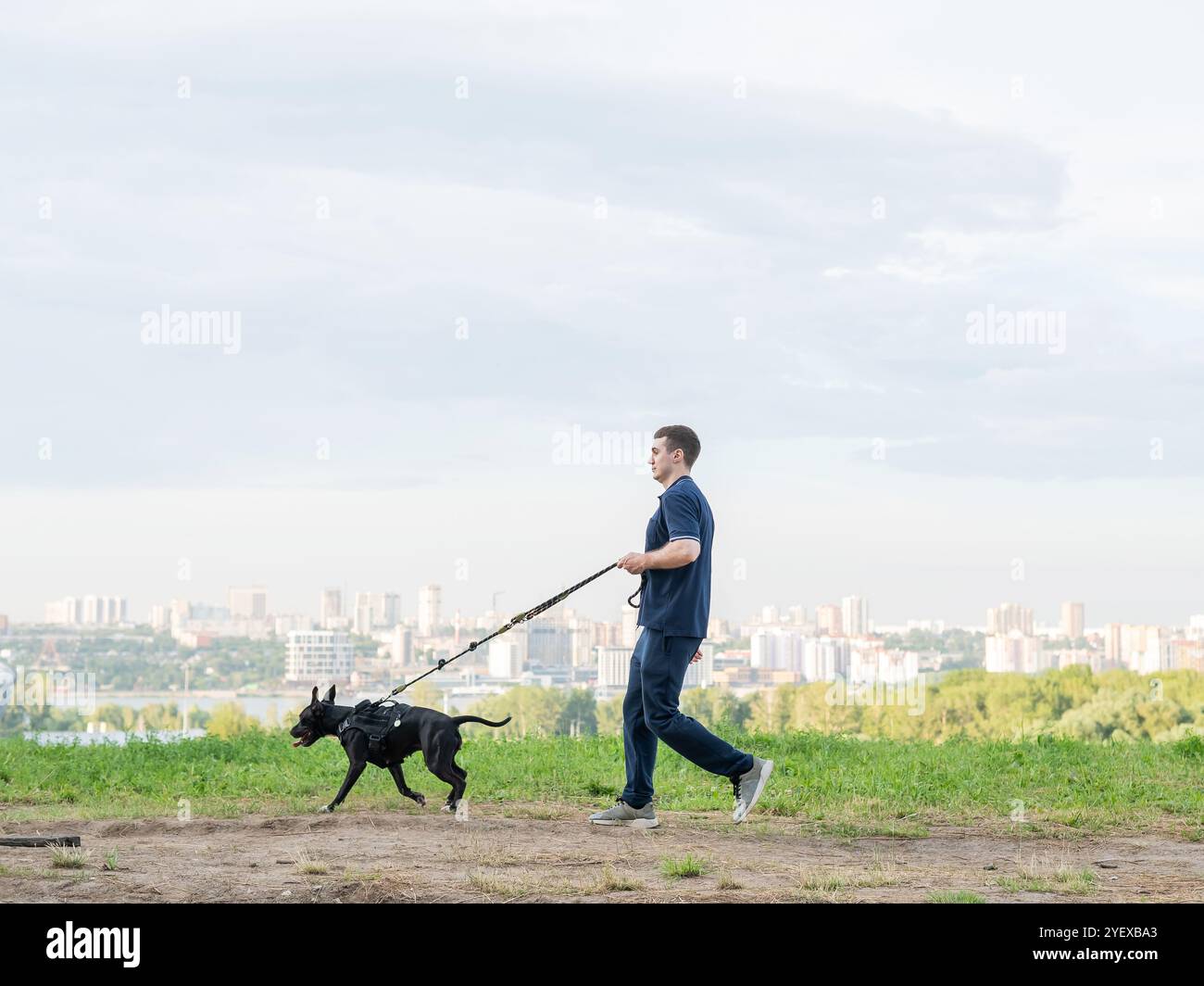 Man running with pit bull terrier outdoors Stock Photo - Alamy