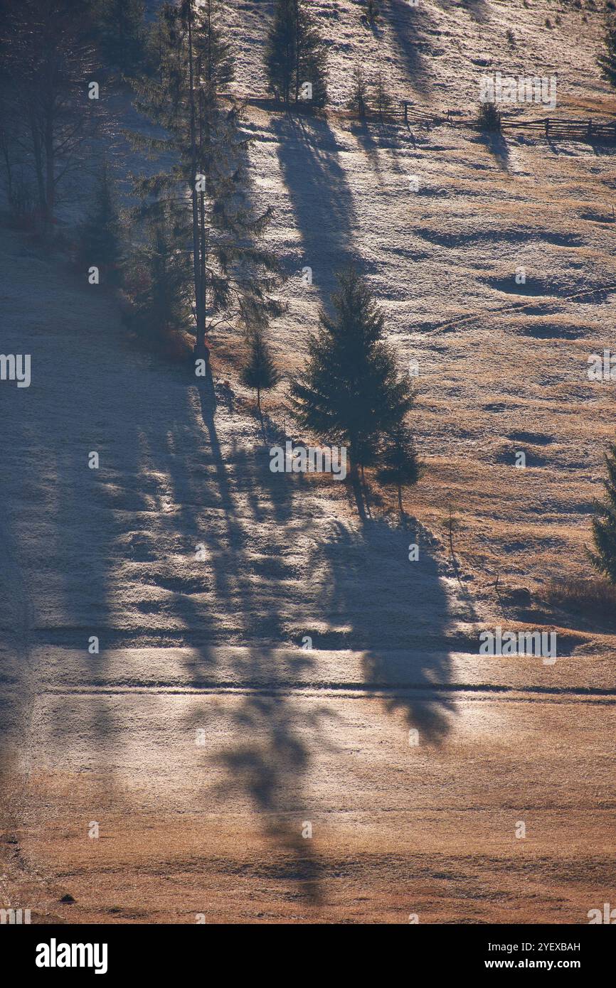 Iarna hi-res stock photography and images - Alamy