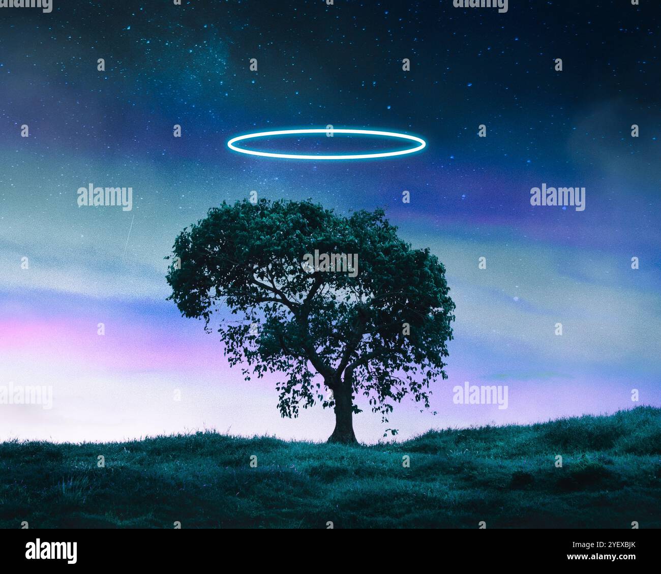 Lone Tree On A Grassy Hill Under A Starry Night Sky, With A Glowing ...