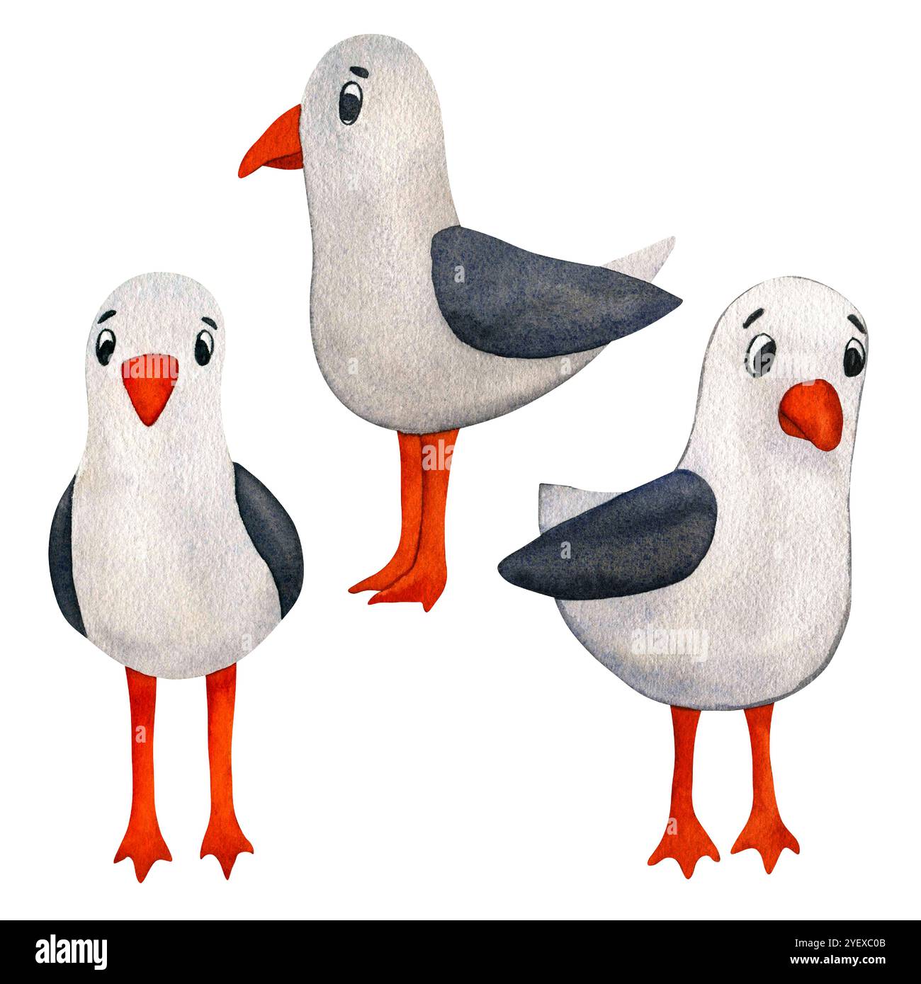 Hand drawing Seagulls Watercolor illustration. Set of ocean gulls ...