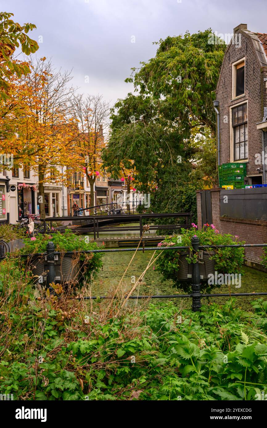 Typical dutch cheese hi-res stock photography and images - Alamy