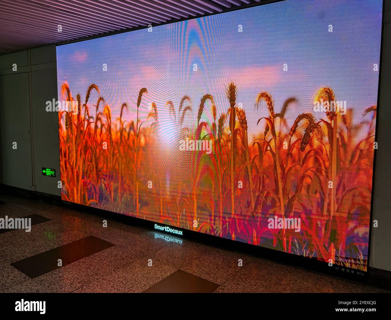 Shanghai, China, Detail, Chinese Advertising Posters, in Hall, Public ...