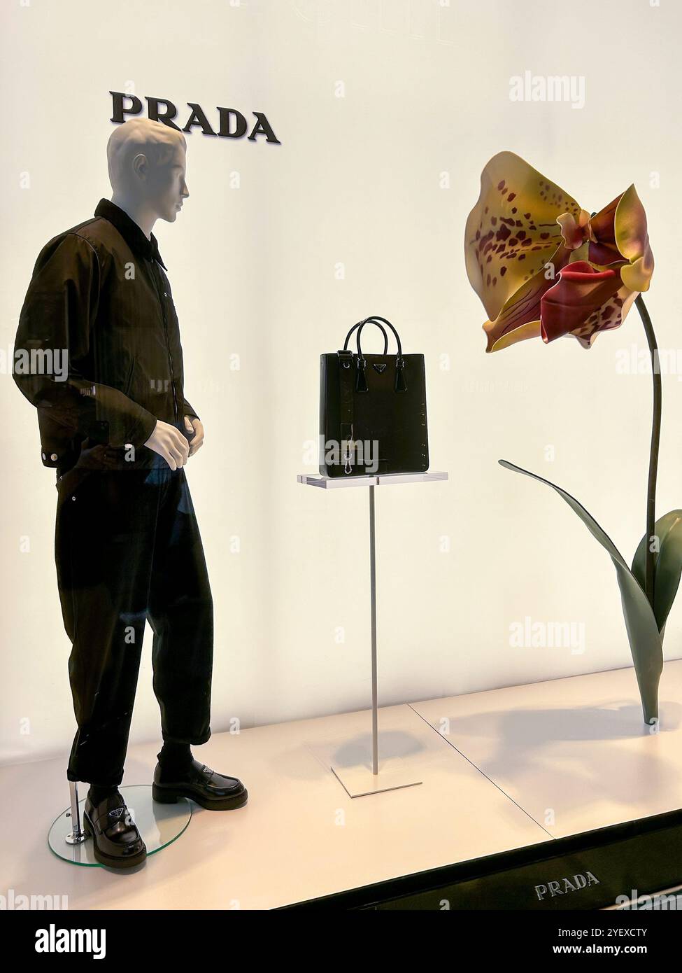 Shanghai, China, Shop Window Display, Men’s Clothing, Fashion, View ...