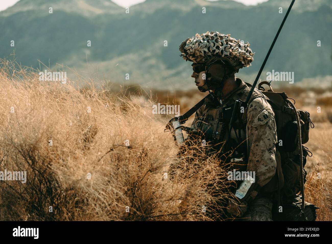 U.S. Marine Corps Capt. Jared Haeg, a Kennewick, Washington native and ...