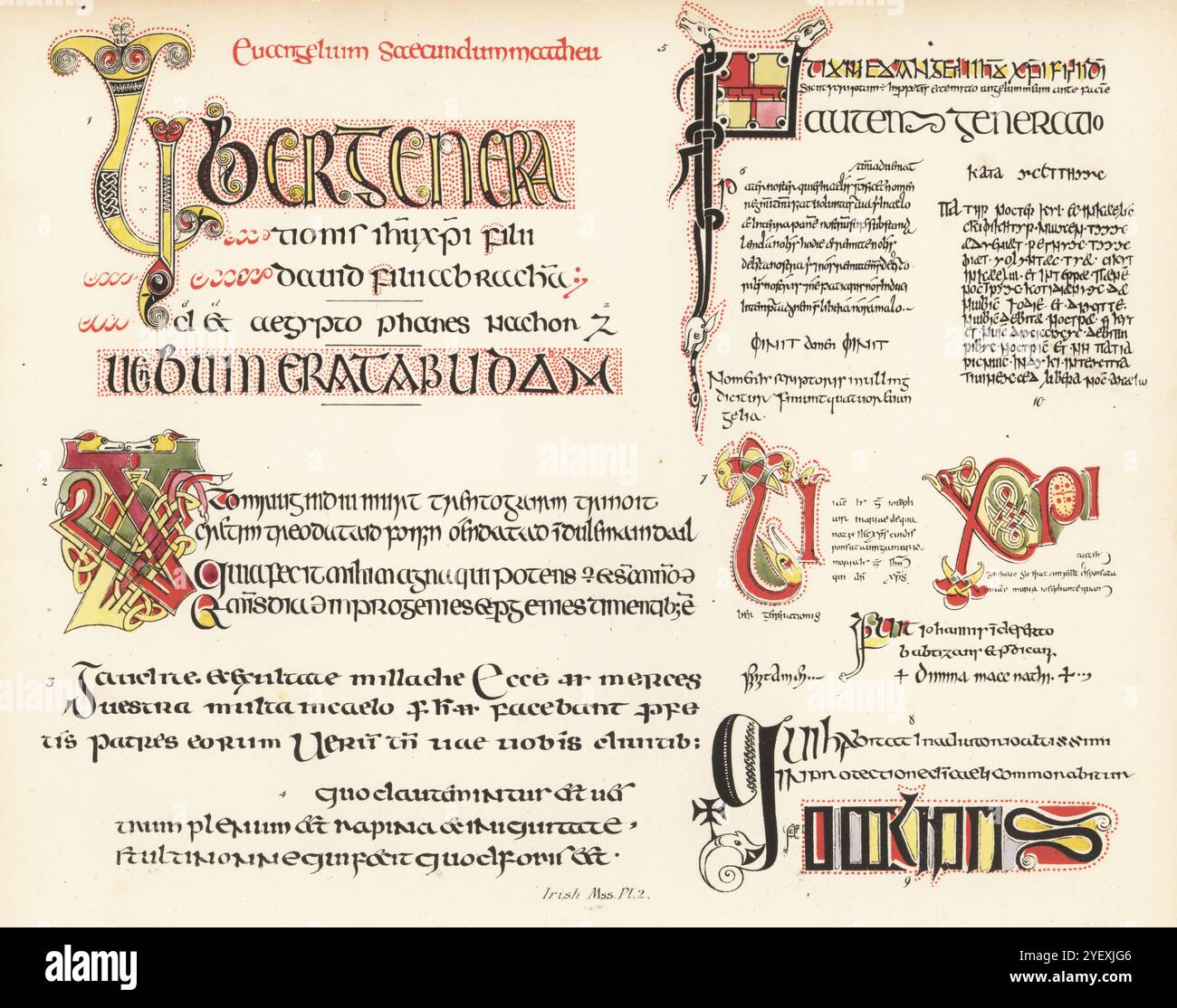 Irish Biblical manuscripts. From the Gospels of St Columba 1, Liber ...
