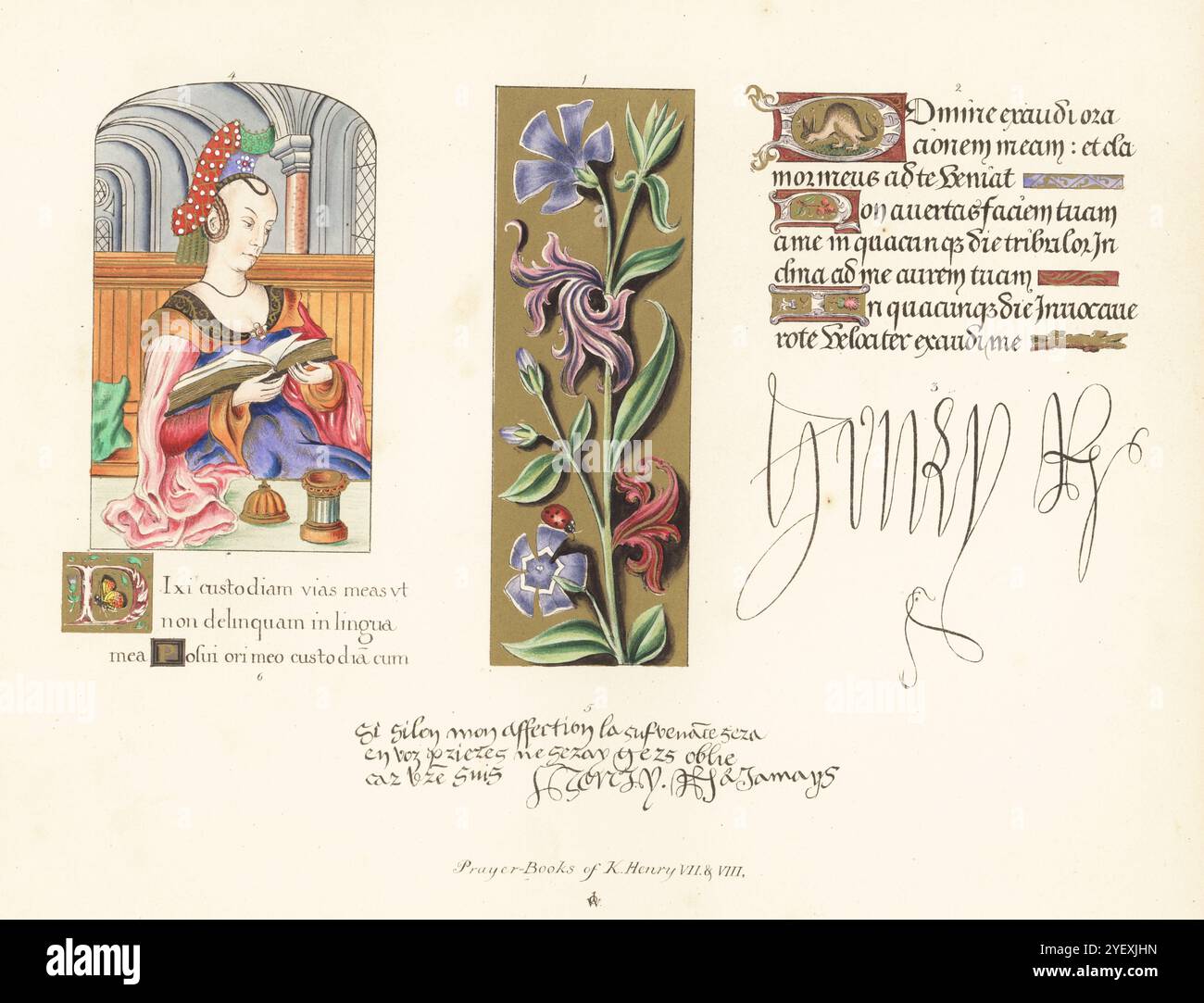 Medieval manuscript border hi-res stock photography and images - Alamy