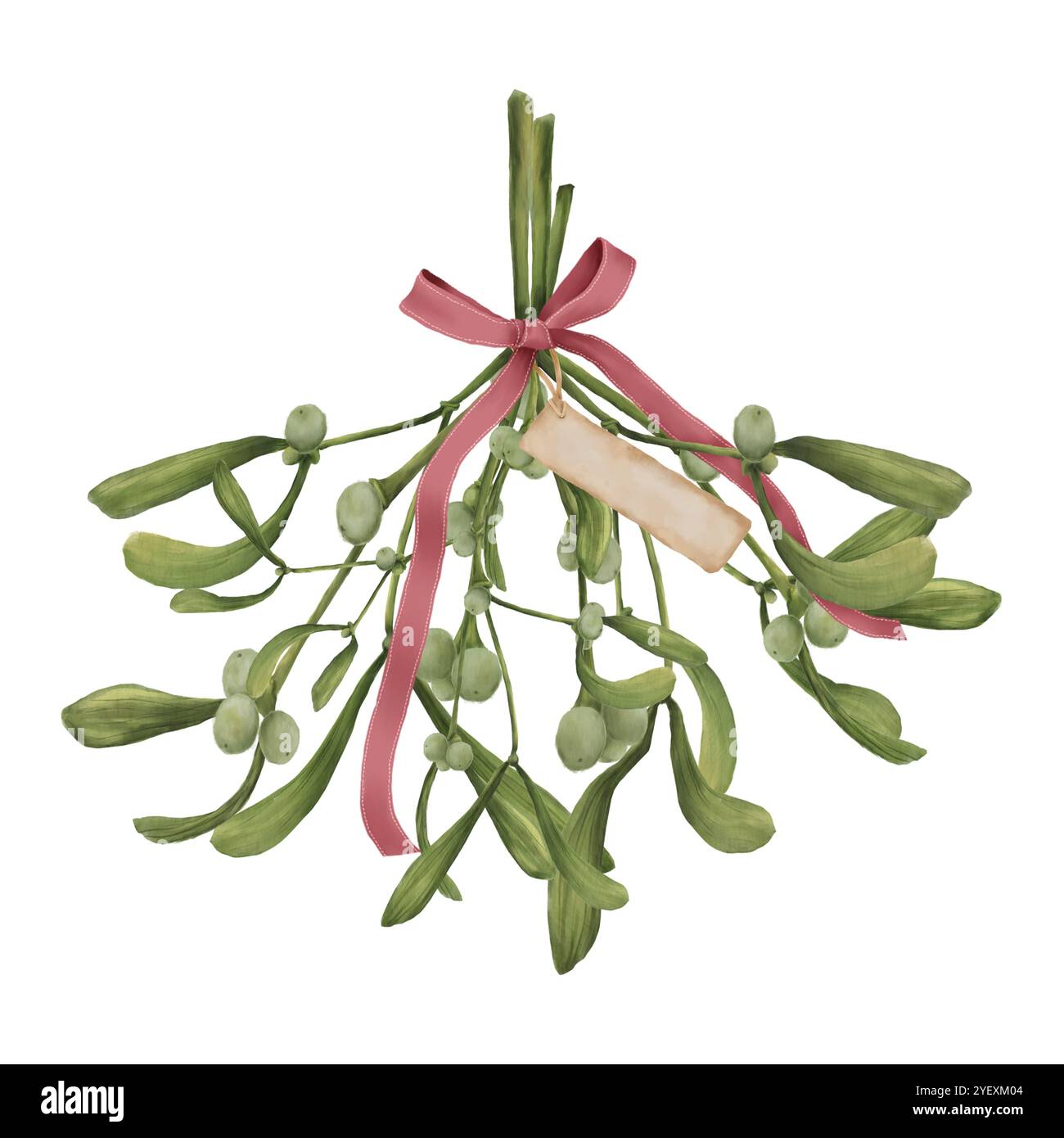 Bouquet of mistletoe with a red bow. Watercolor illustration ...