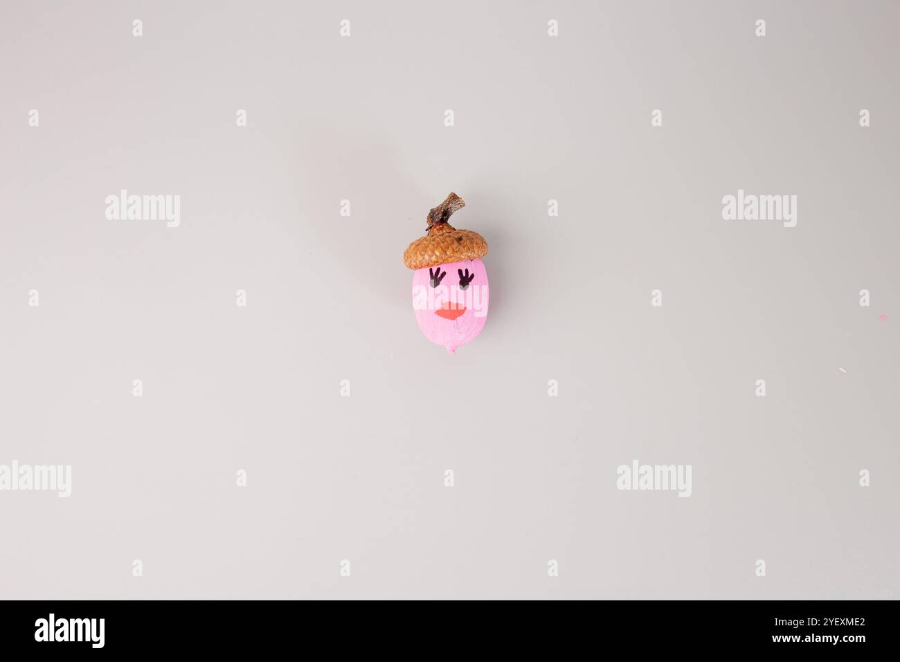 Acorn with painted face, pink face, brown cap, red lips, light grey ...