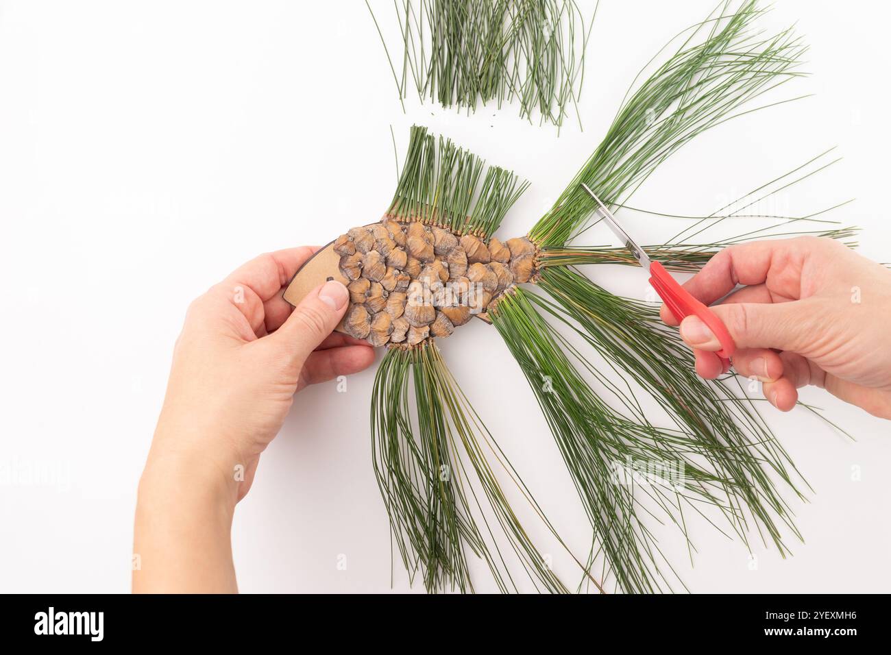 Hands cutting pine cone fish craft with red scissors. Flat lay DIY for ...