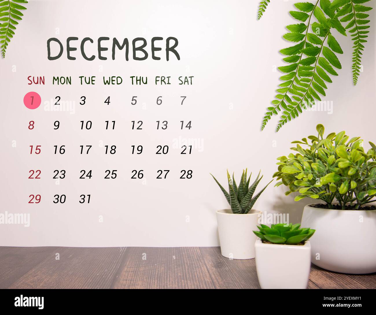 December 1st. Image of december 1 wooden color calendar on white brick ...
