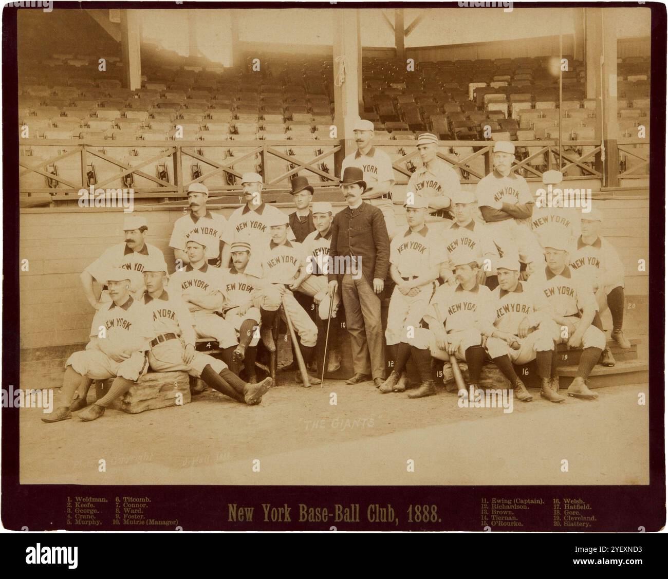 Cabinet photograph of the 1888 New York Giants baseball team. Vintage ...