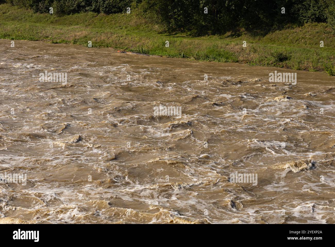 The turbulent muddy water flows rapidly, creating intense waves and ...