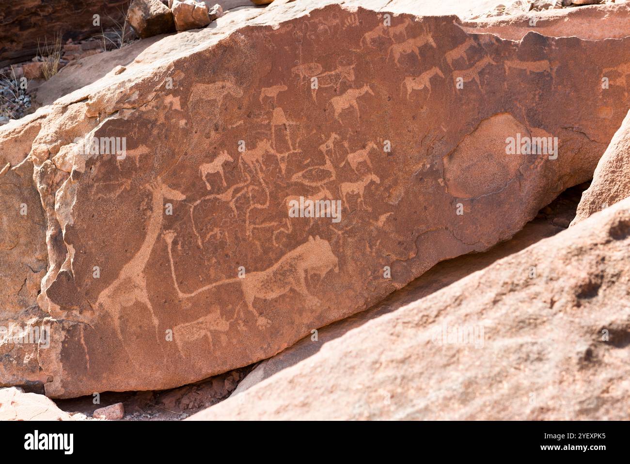 Lionman plate petroglyphs at Twyfelfontein, Kunene Region, Namibia ...