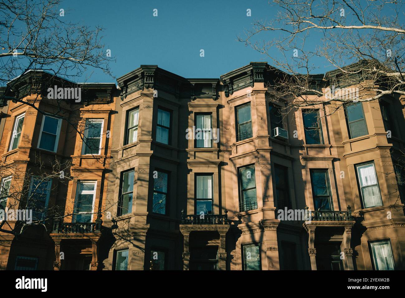 Historic building ornate windows under hi-res stock photography and ...