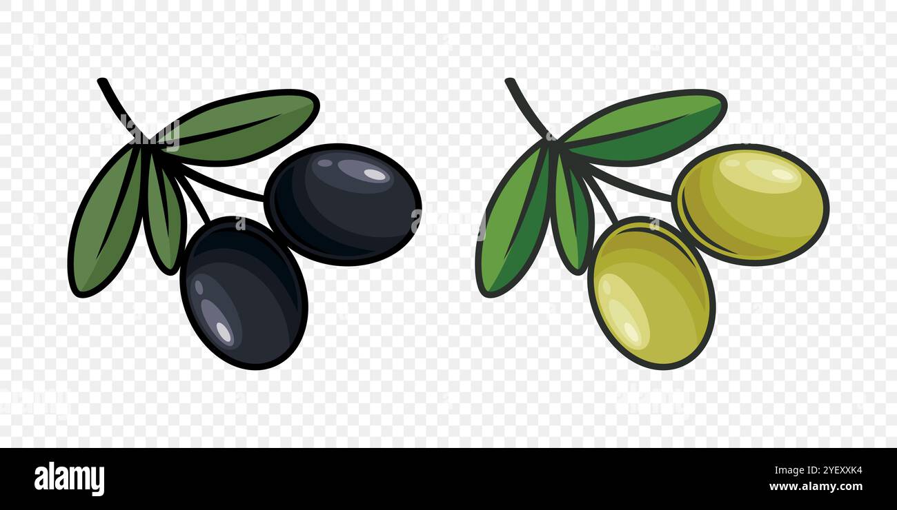 Flat Vector Green and Black Olives Outline Set. Hand-Drawn Olive Tree ...