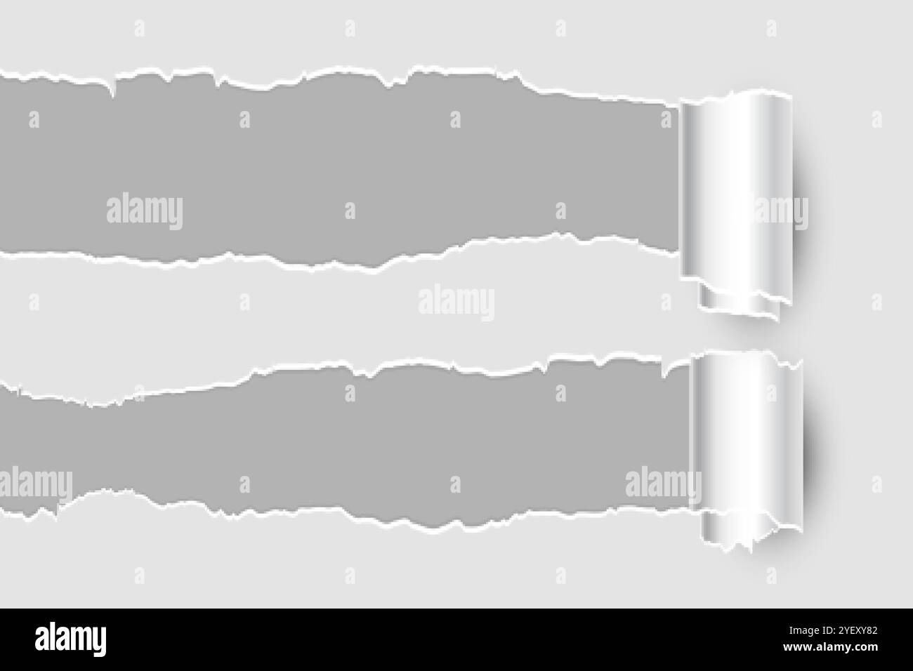 two rolling torn ripped paper sheet page Stock Vector Image & Art - Alamy