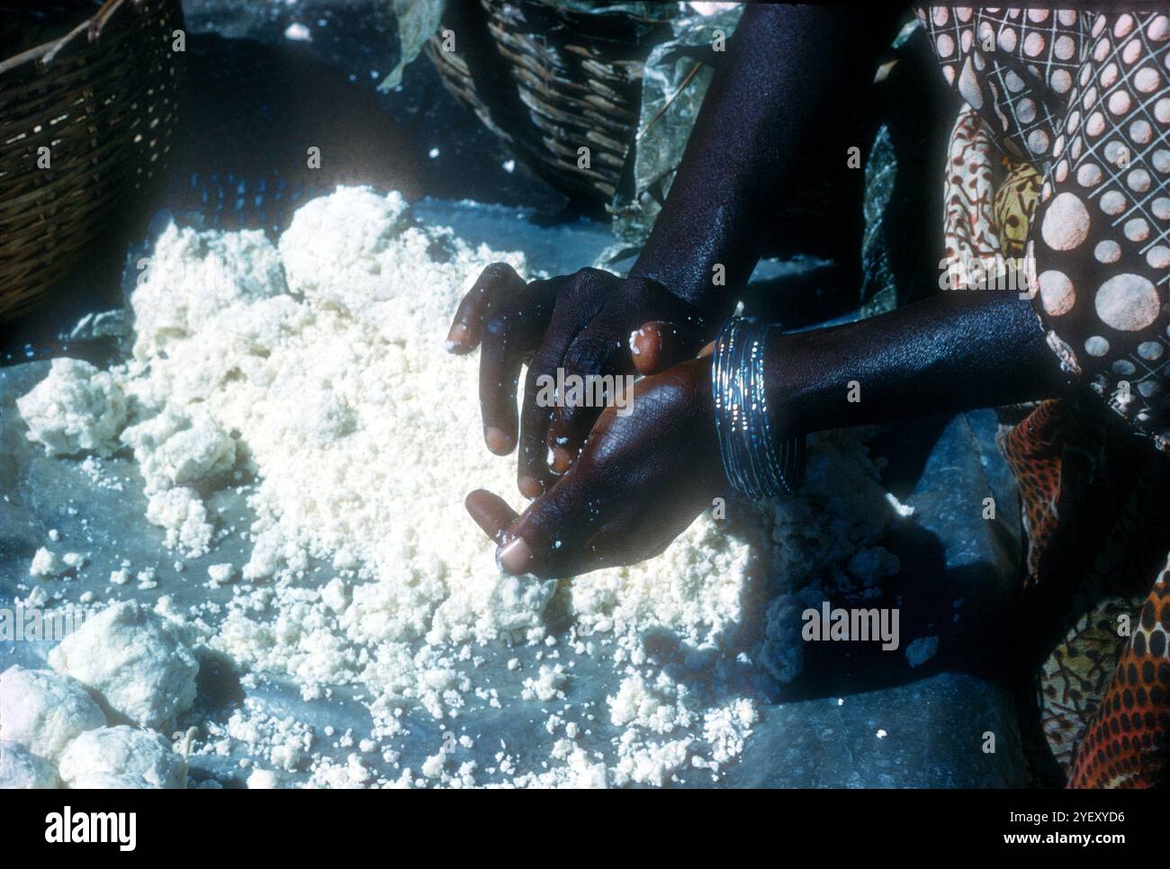 Woman preparing cassava flour hi-res stock photography and images - Alamy