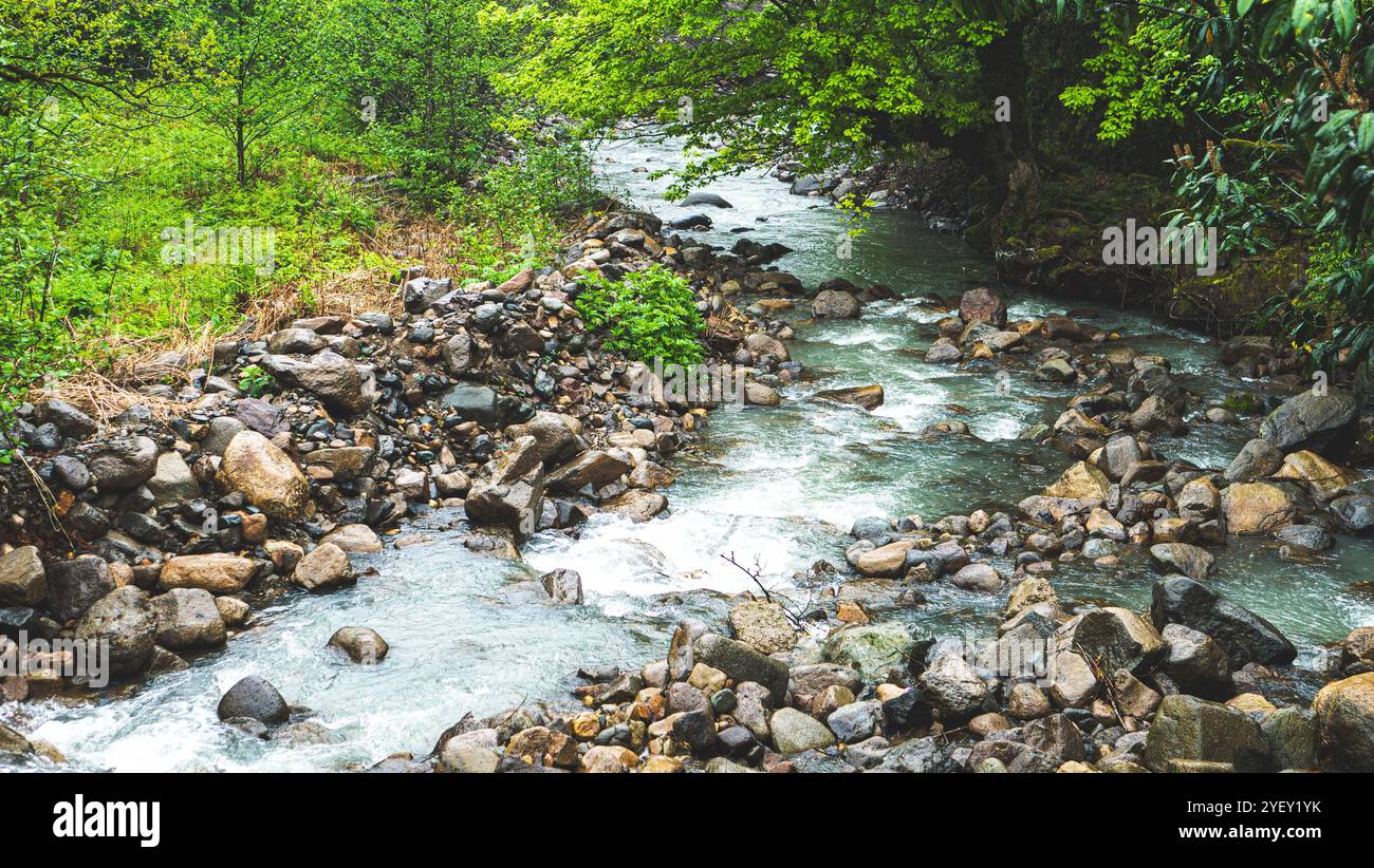 River water in mountainous landscape green forests greenery in country ...