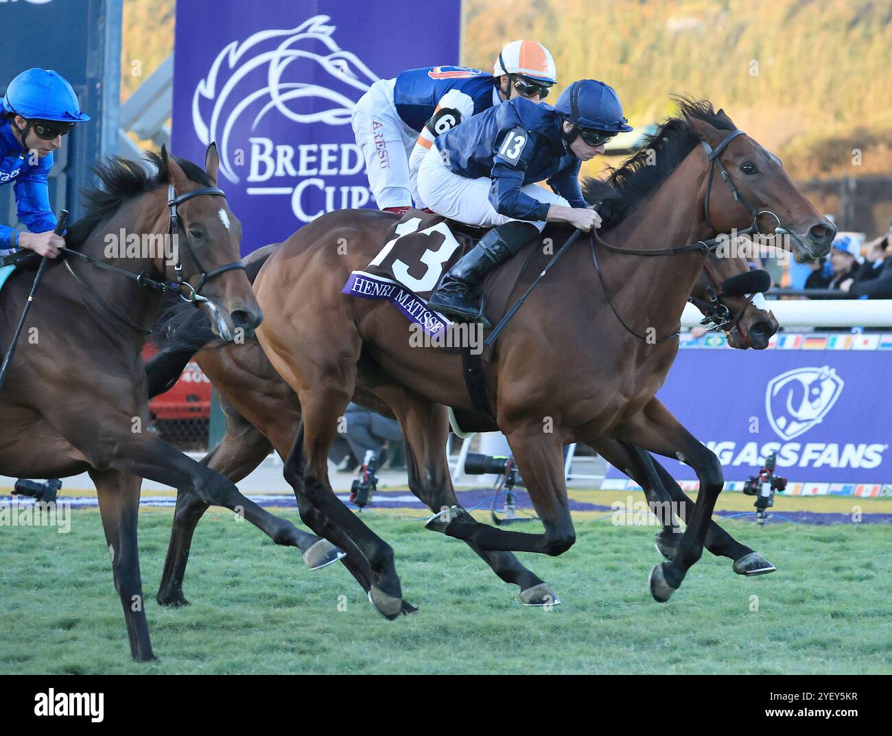 Breeders cup 2024 henri matisse hi-res stock photography and images - Alamy