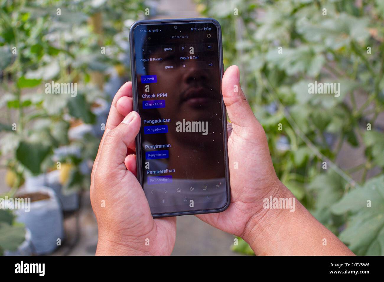 Tanjungsari, West Java, Indonesia. 2nd Nov, 2024. A worker using ...