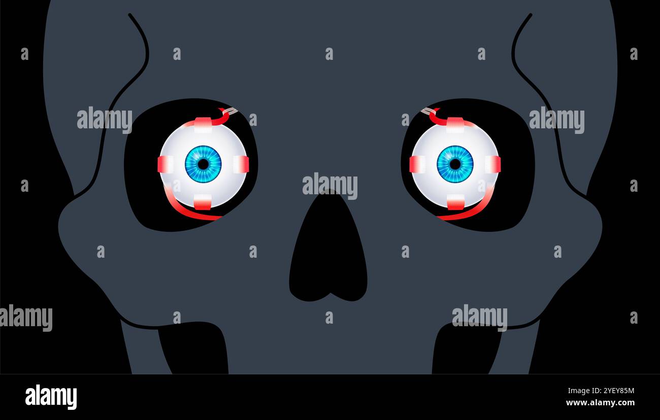 Illustration of the extraocular muscles anatomy in the skull. These ...