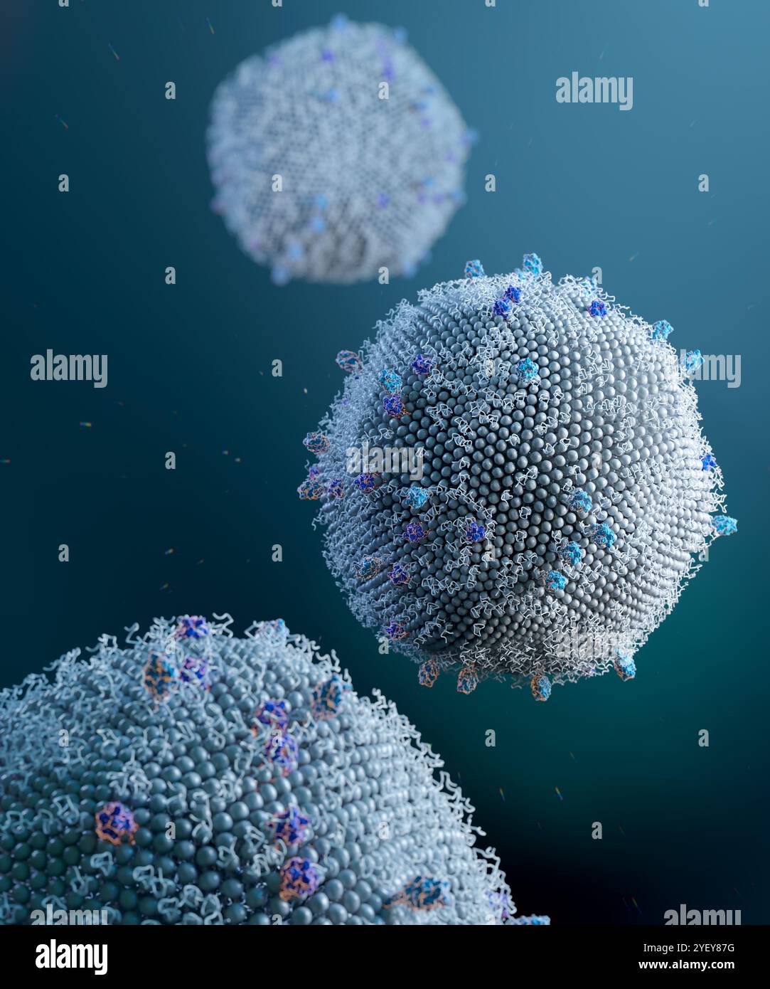 Filamentous forms hi-res stock photography and images - Alamy