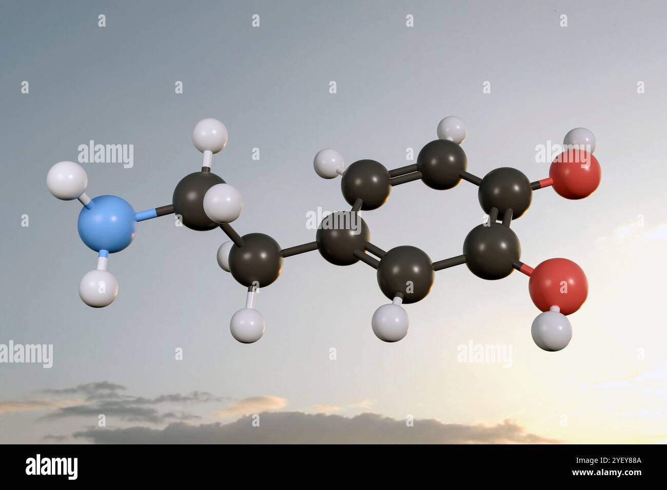 Computer illustration of a ball and stick model of a dopamine molecule ...