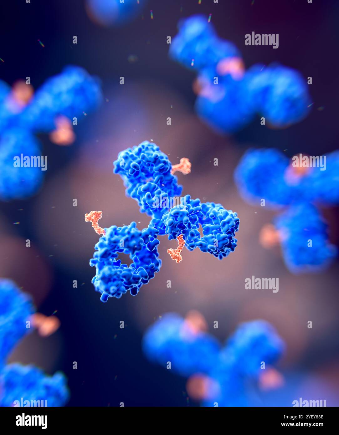 Illustration of antibody drug conjugates. Antibody drug conjugates ...
