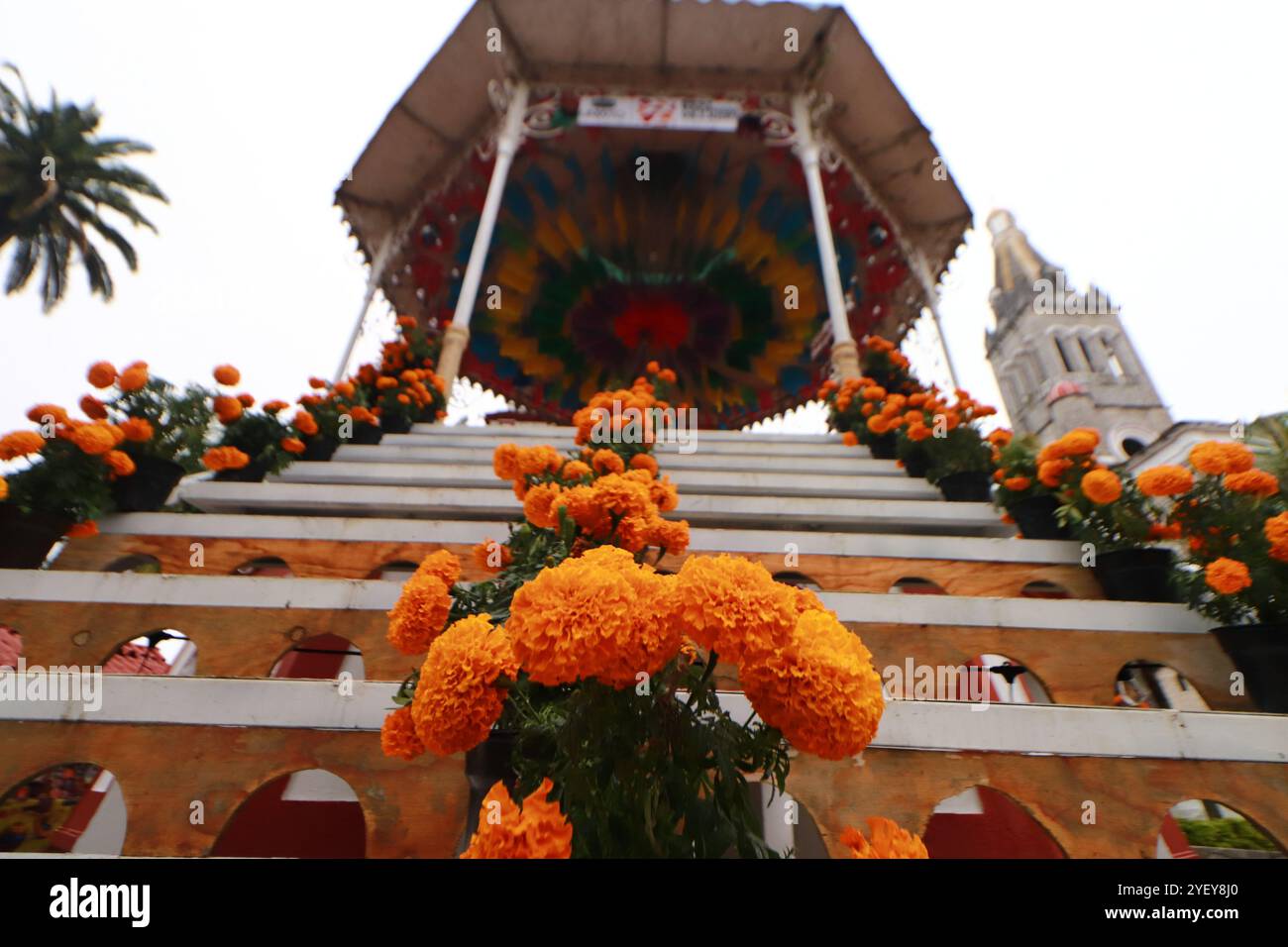 Cuetzalan De Progreso, Mexico. 01st Nov, 2024. Traditional ofrendas are ...