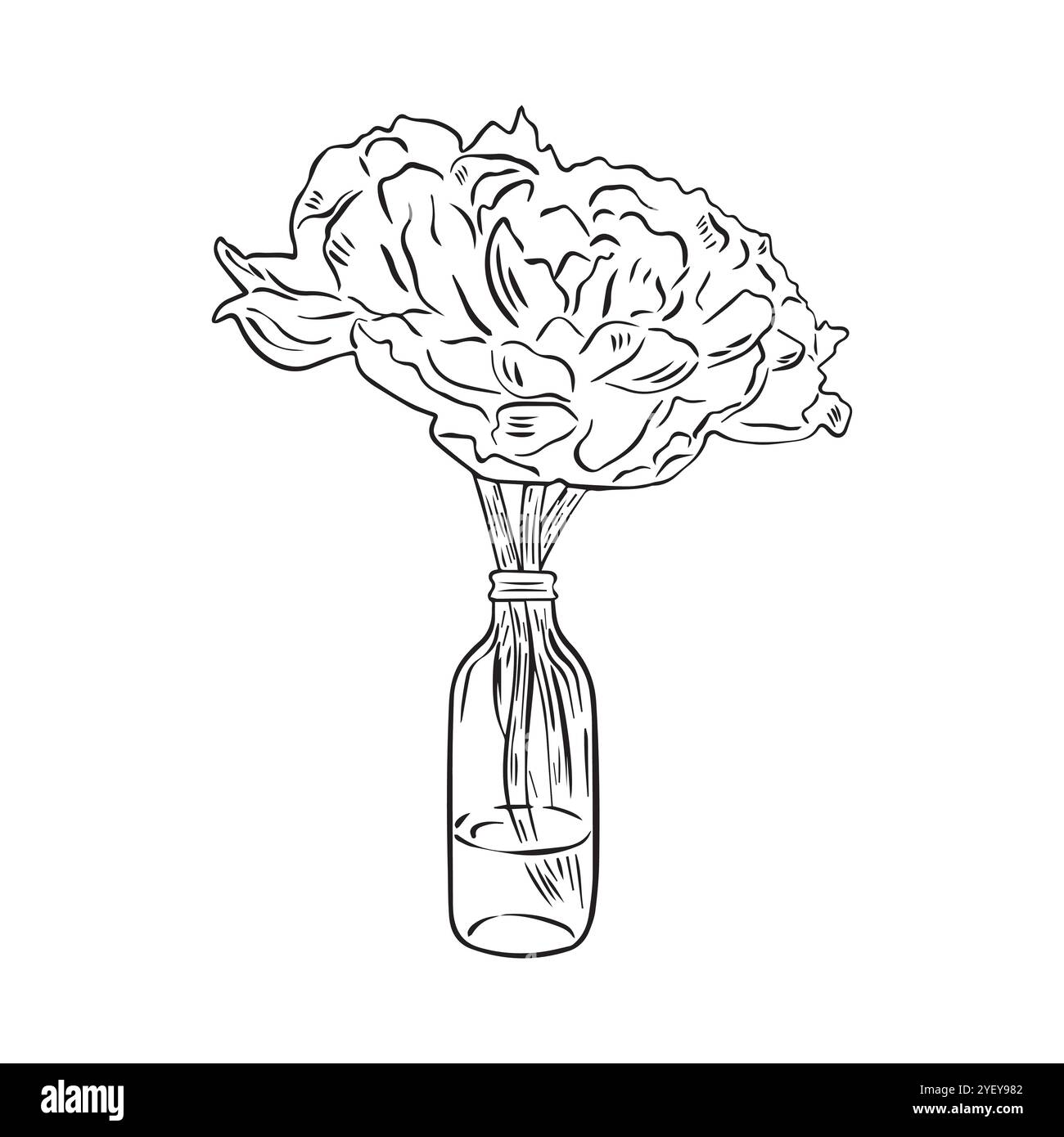 Glass vase with tulips isolated on white background. Bouquet of tulips ...