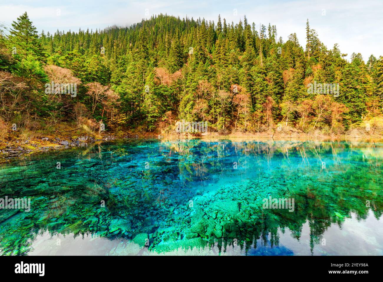 Five coloured pool hi-res stock photography and images - Alamy