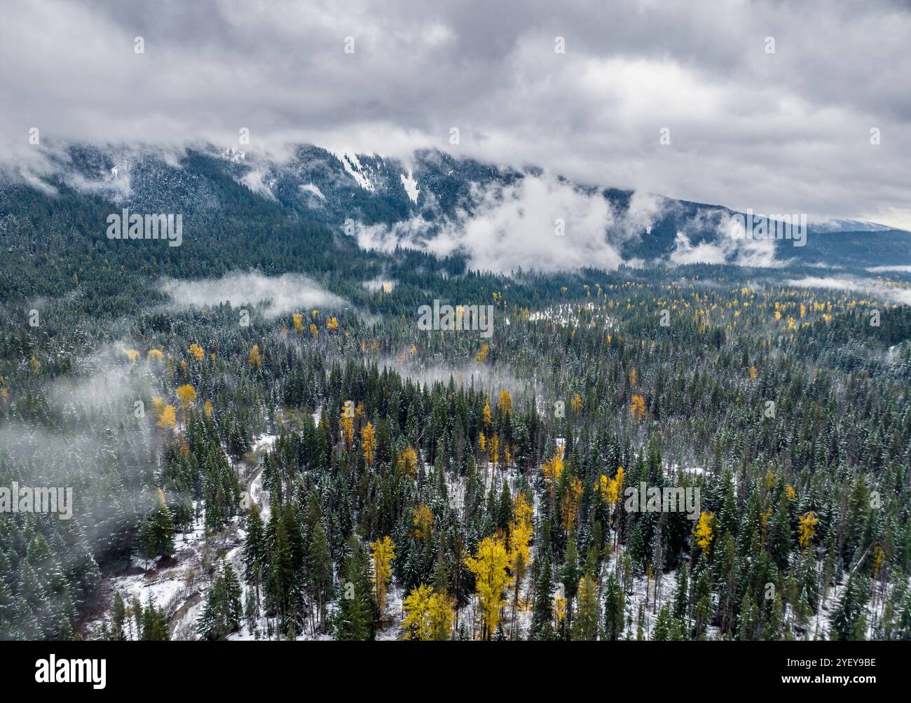Aerial view of snow in the Mount Hood National Forest, central Oregon ...
