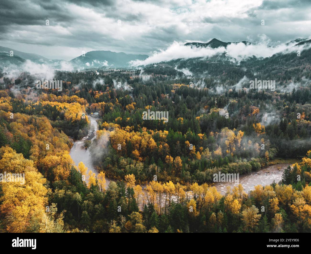 Aerial view over the Sandy River, Clackamas County, Oregon, USA Stock ...