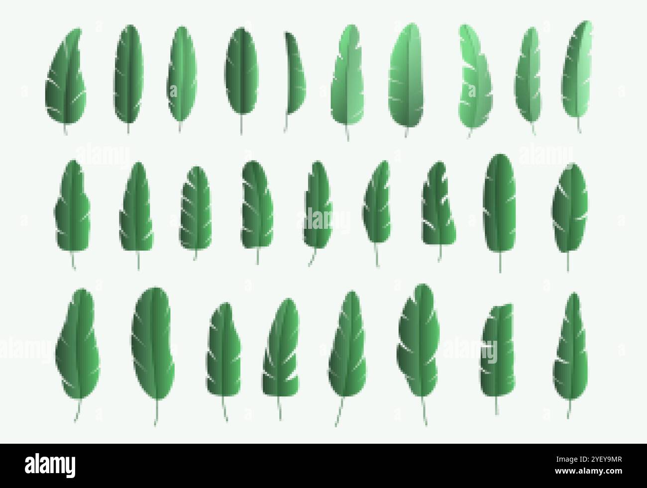 Banana tree leaves fruit Stock Vector Images - Alamy