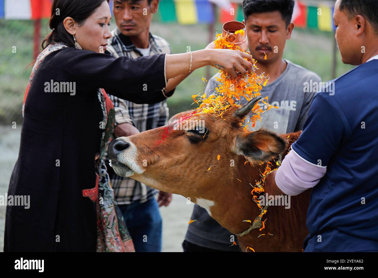 Nepal lalitpur tihar lights hi-res stock photography and images - Alamy