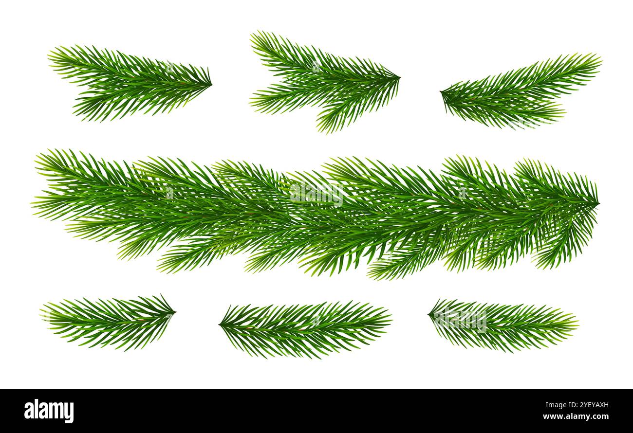 Christmas fir tree branches. Pine, spruce green branches and border for ...