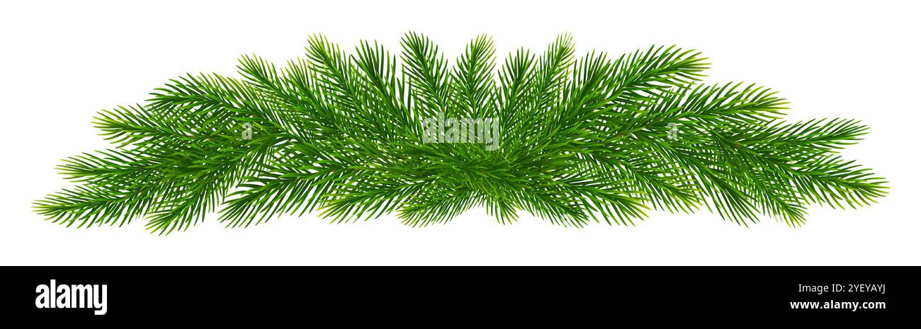 Christmas border of realistic fir tree branches. Christmas tree ...