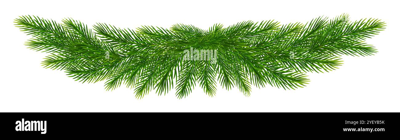 Christmas border of realistic fir tree branches. Christmas tree ...