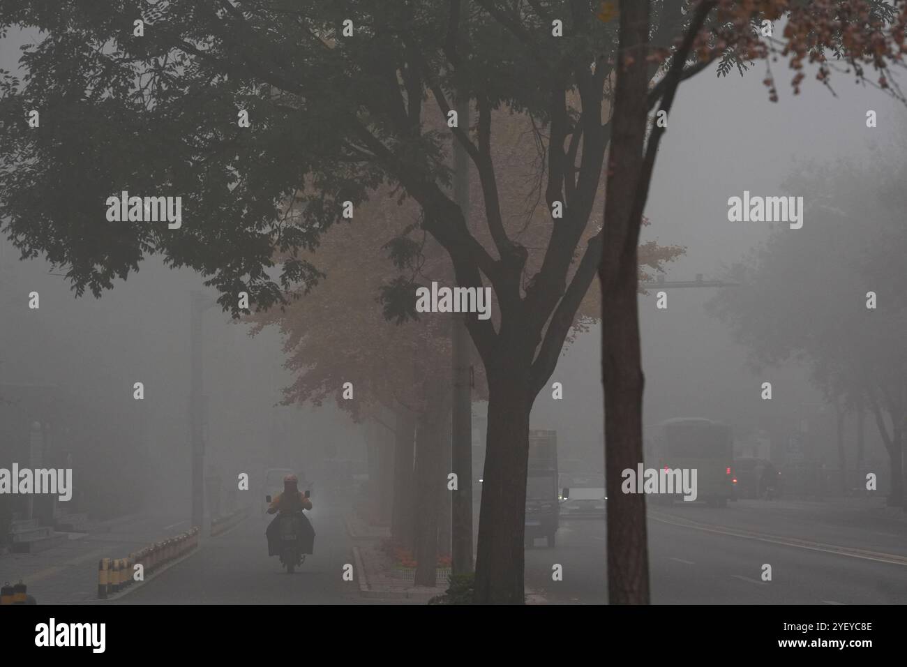 A rider past through a foggy street in Beijing, Saturday, Nov. 2, 2024 ...