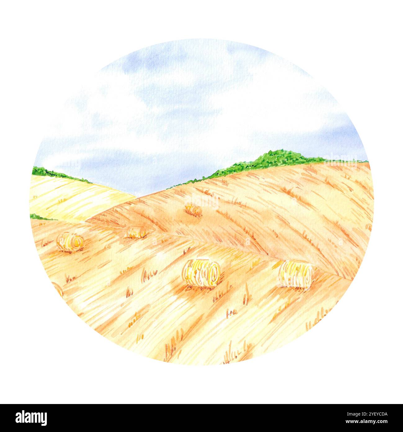 Dry meadow landscape Cut Out Stock Images & Pictures - Alamy