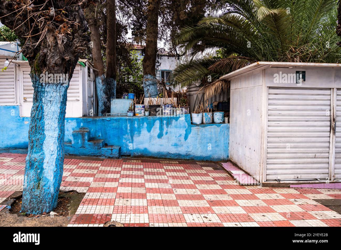 Tangier, Morocco -march 26, 2024:Walking through the streets of ...